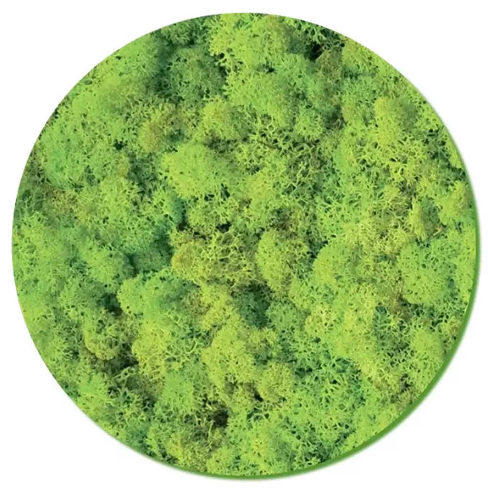 Moss wall | sustainable indoor green wall solutions | Ambius AU