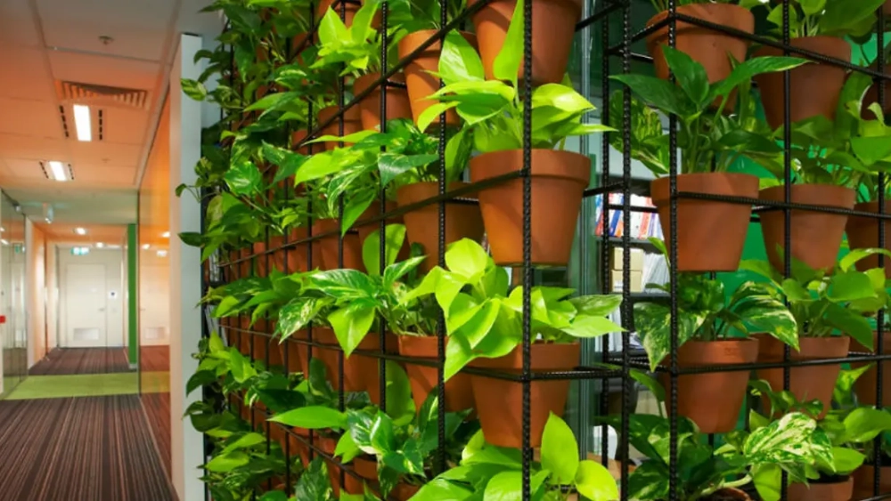 GHD case study | Ambius Australia