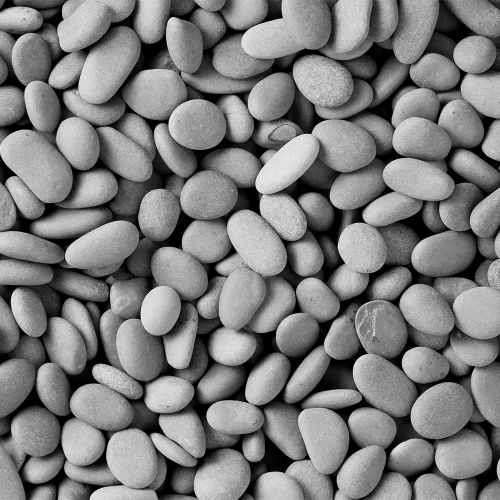 Pot Toppers | Toppings for Indoor Plants | Ambius AU