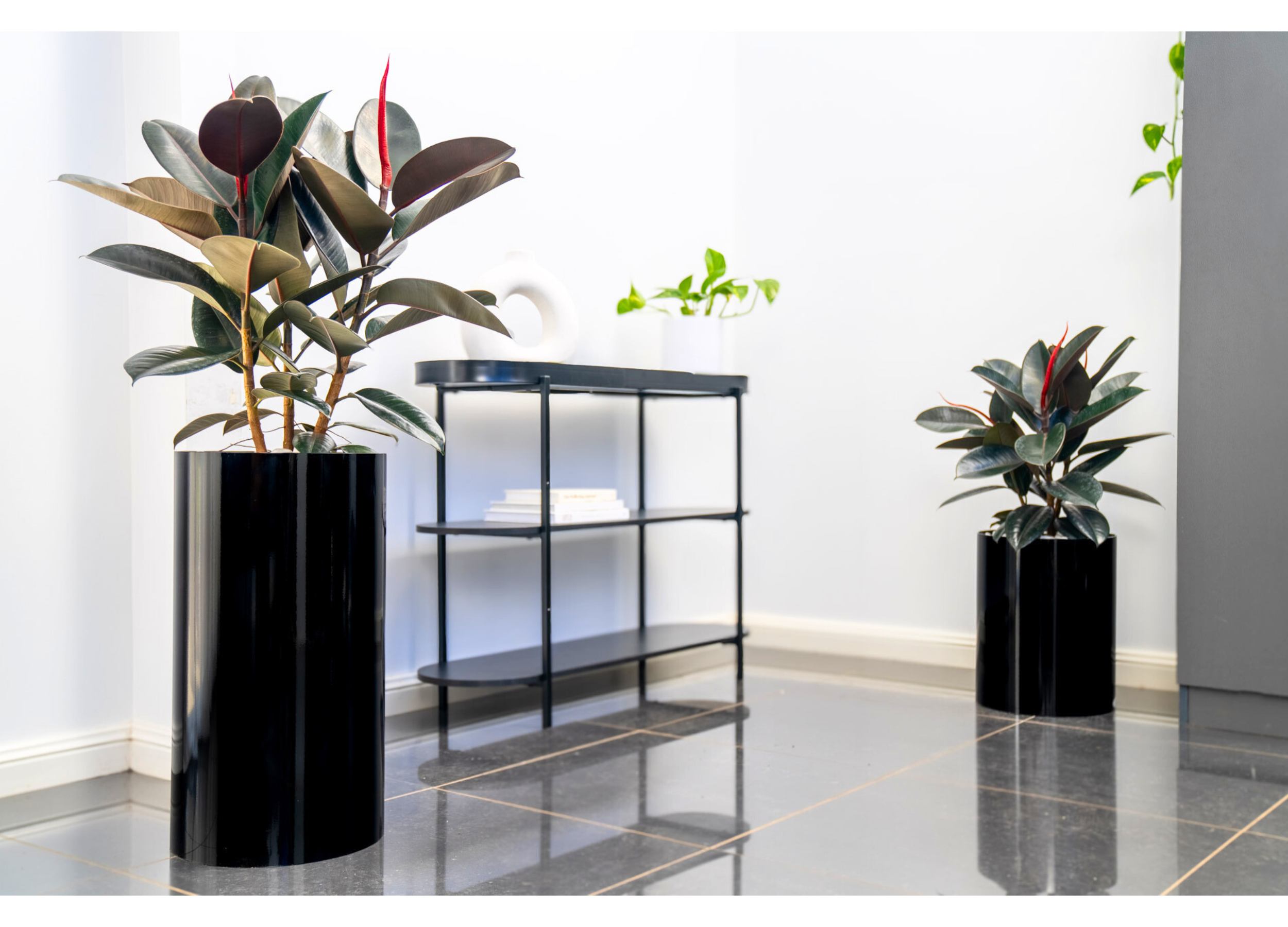 Ambius Exclusive Cilindro Trio | Plant Containers - Ambius AU